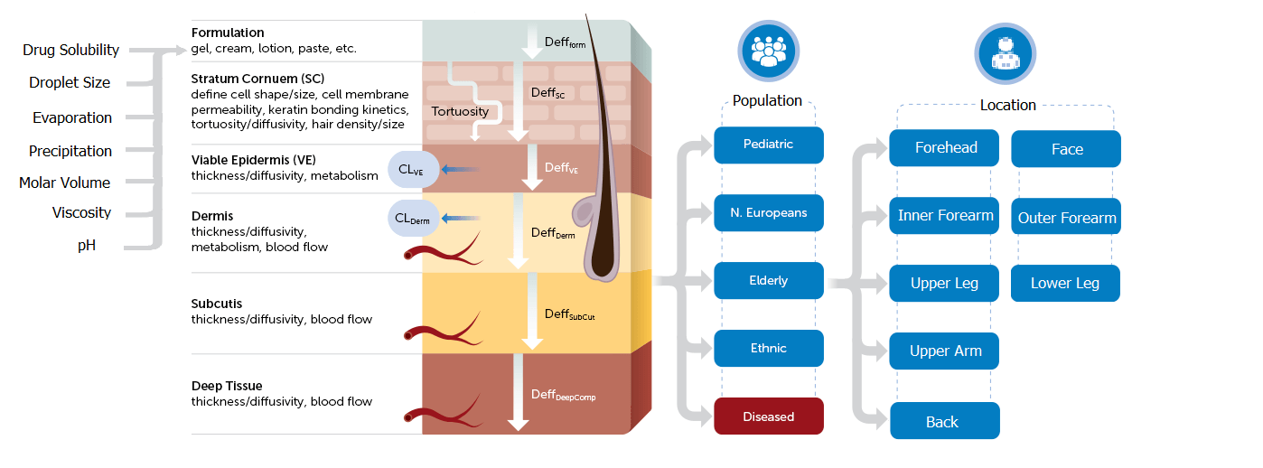 Certara | PBPK Modeling for Bioequivalence & Generic Product Approvals